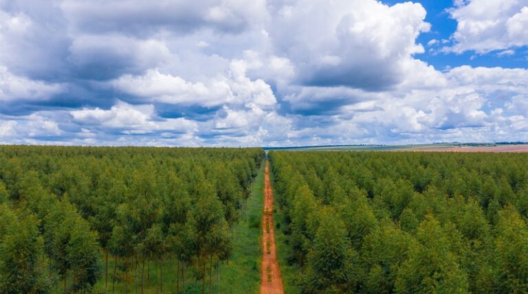 Apple amplía el innovador Restore Fund para la eliminación de carbono ...